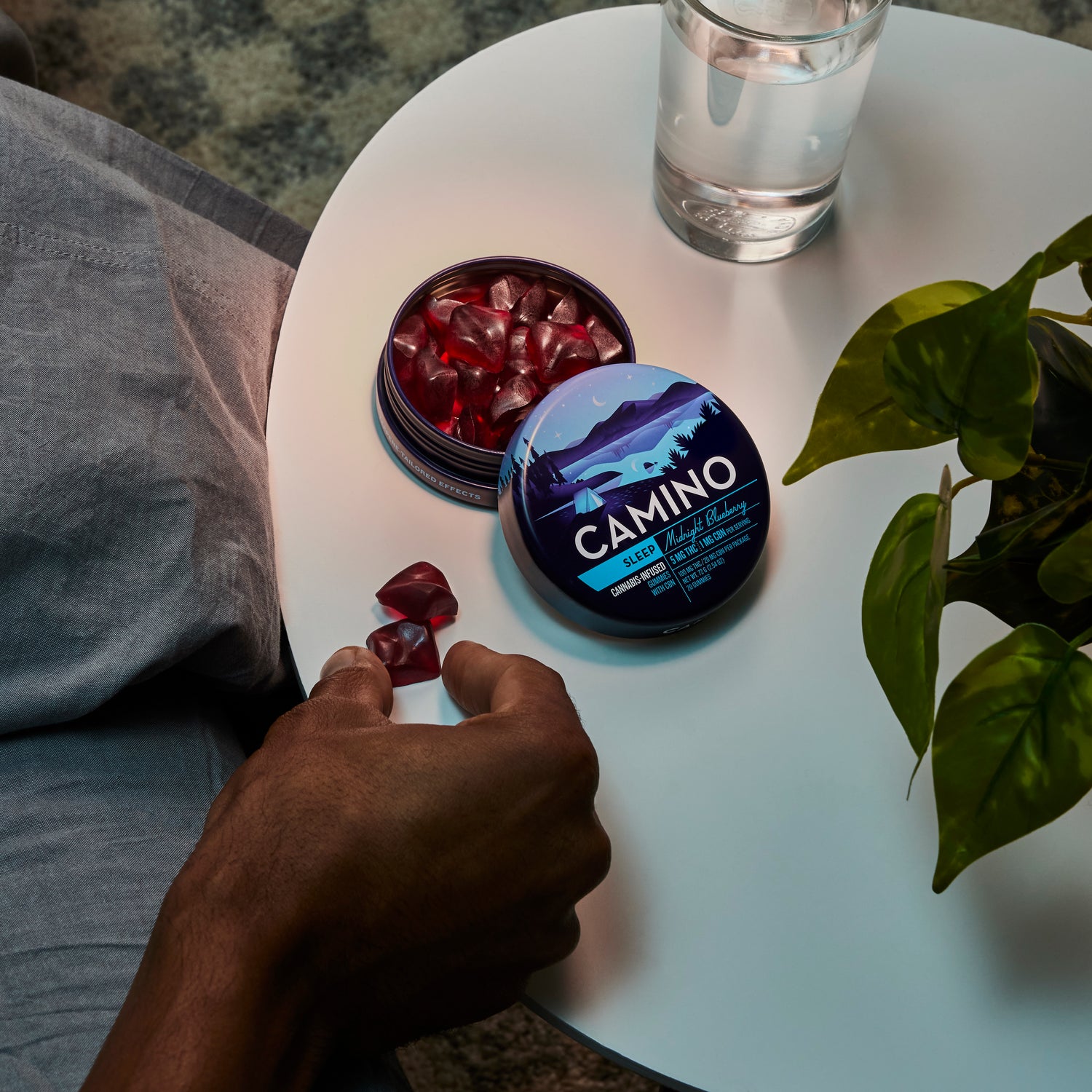 Camino Midnight Blueberry 'Sleep' 5mg : 1mg CBN Gummies – Kiva Confections